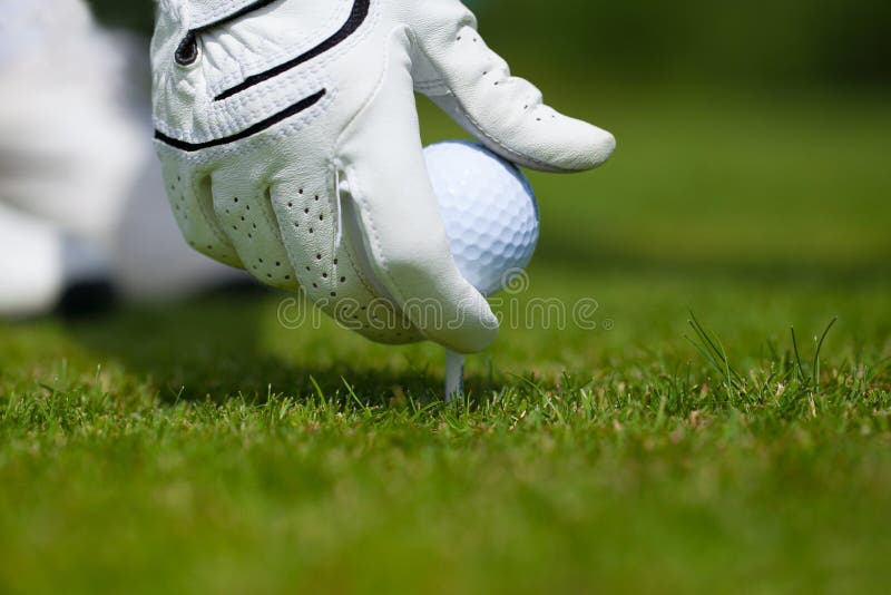 Teeing up a Golf ball stock image. Image of sports, angle - 49939739