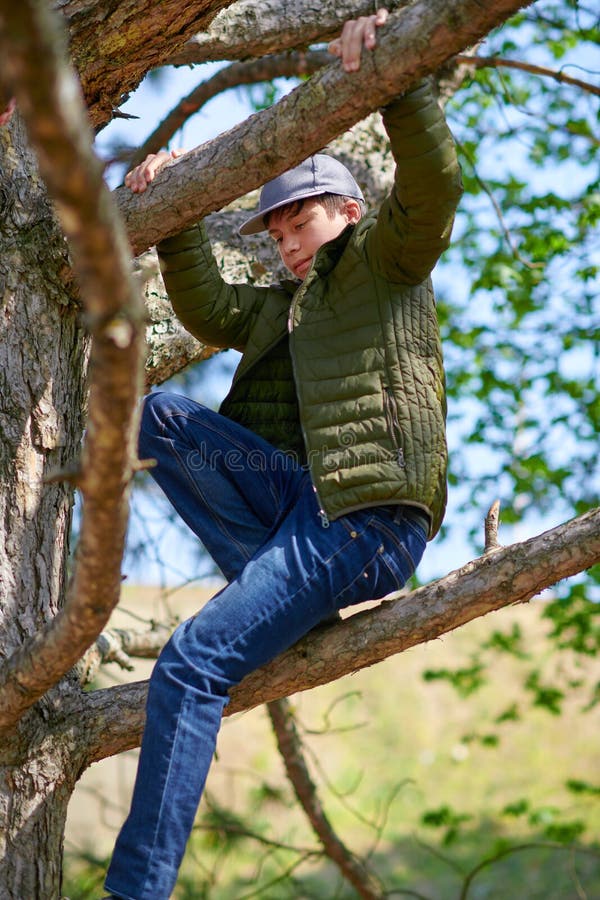 Teen Boy Climbing in a Tree, Bright Sunlight, Beautiful Day Stock Photo ...