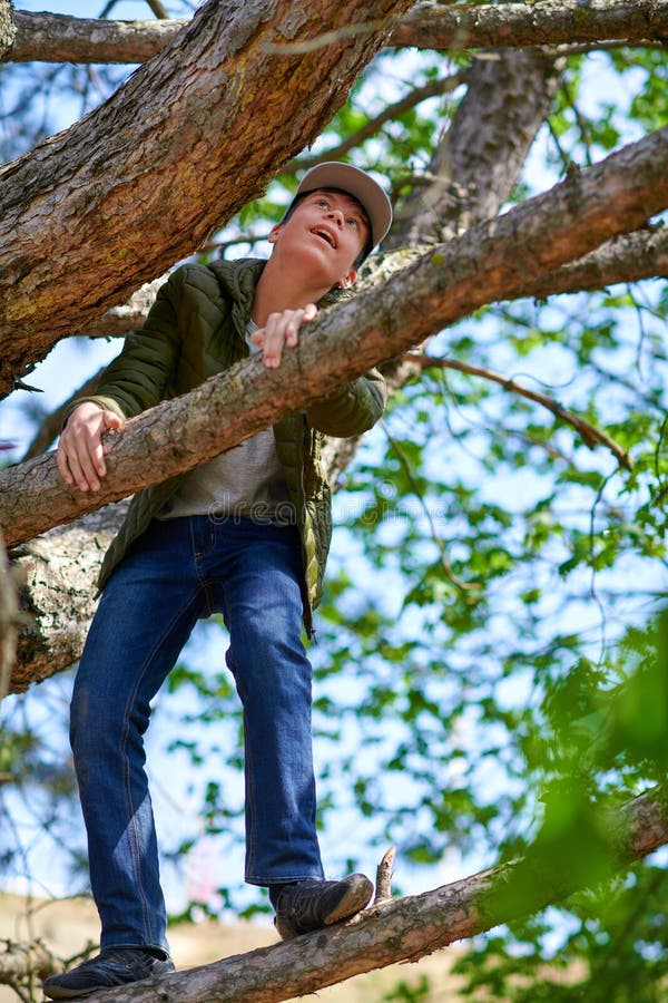 Teen Boy Climbing in a Tree, Bright Sunlight, Beautiful Day Stock Photo ...