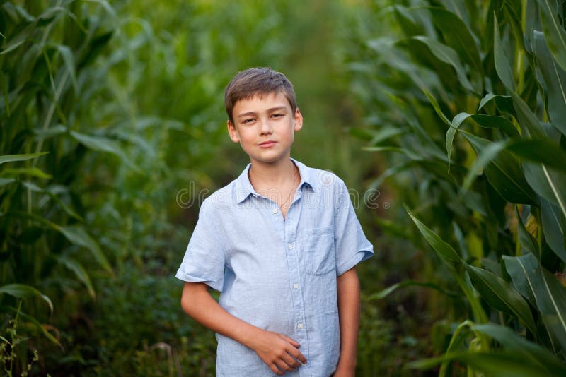 Teen Boy Kid in Corn Field in a Summer Day Stock Photo - Image of ...