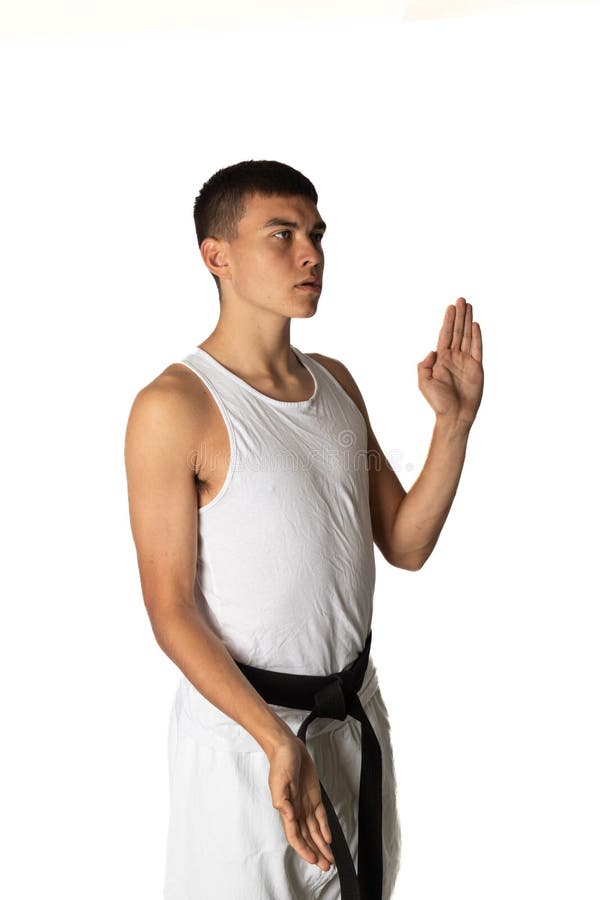 Teenage Boy Doing a Karate Block Stock Photo - Image of strength, hand ...