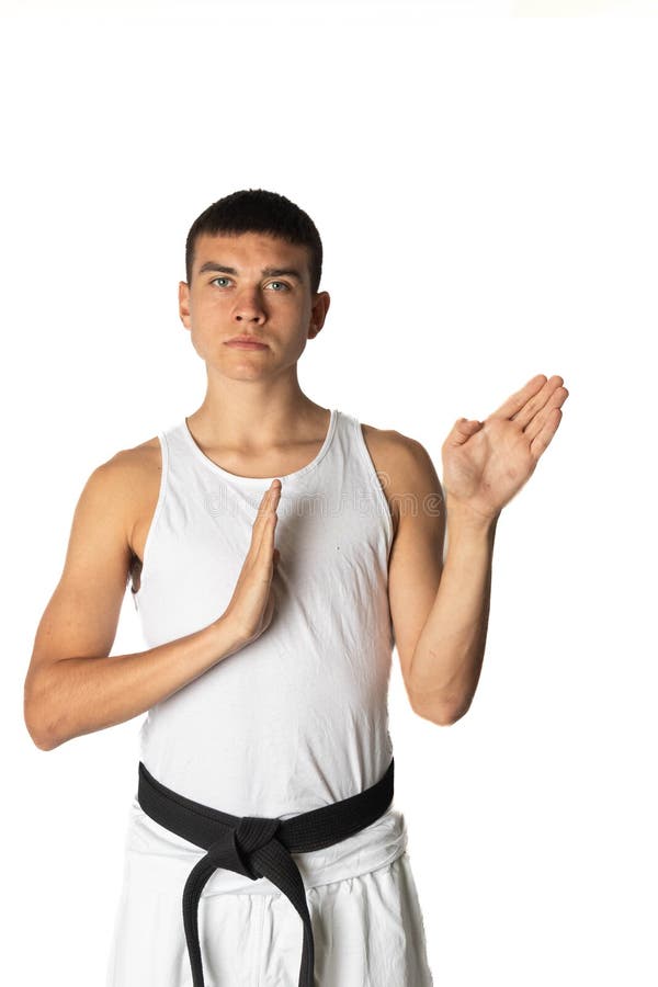 Teenage Boy Doing a Karate Block Stock Image - Image of nineteen ...