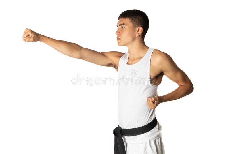 Teenage Boy Doing a Karate Strike Stock Image - Image of caucasian ...