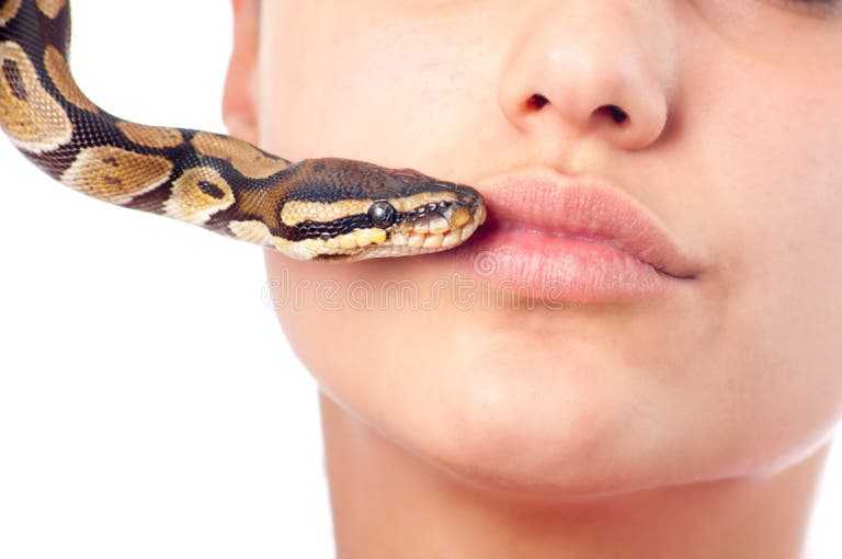 Teenage Girl Kissing Pet Python Stock Photo - Image of young, scales ...