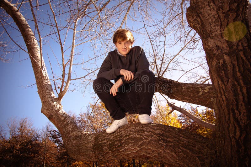 901 Teenager Climb Tree Stock Photos - Free & Royalty-Free Stock Photos ...