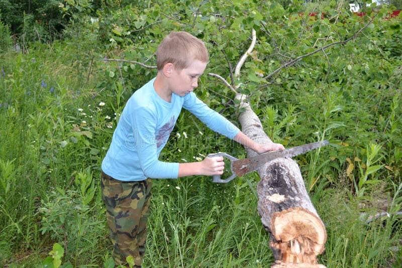 The Teenager with a Hacksaw at a Tree Stock Photo - Image of young ...