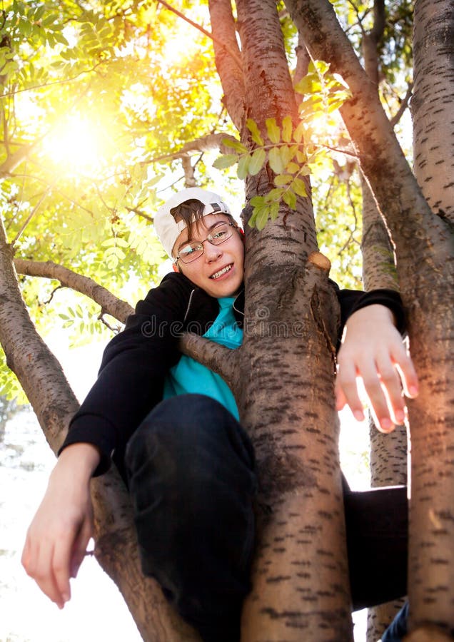 Teenager on the Tree stock photo. Image of beautiful - 92398676