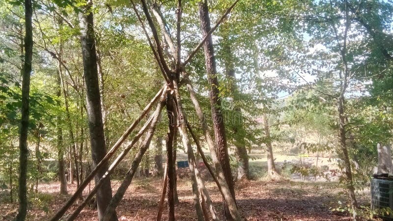 182 Teepee Woods Photos - Free & Royalty-Free Stock Photos from Dreamstime