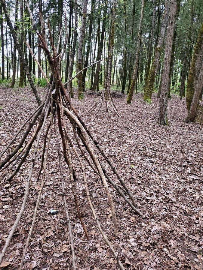 Teepee in forest stock image. Image of shelter, american - 13546197