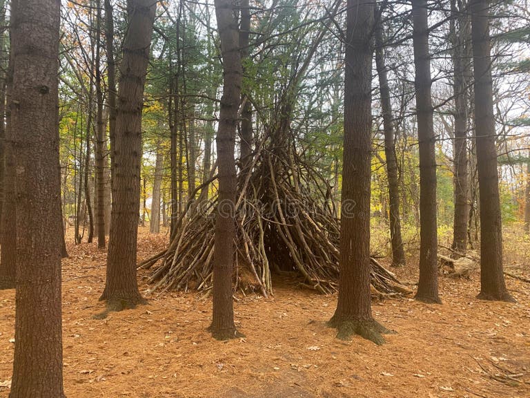 Teepee Shelter in the Woods Stock Photo - Image of structure, branches ...