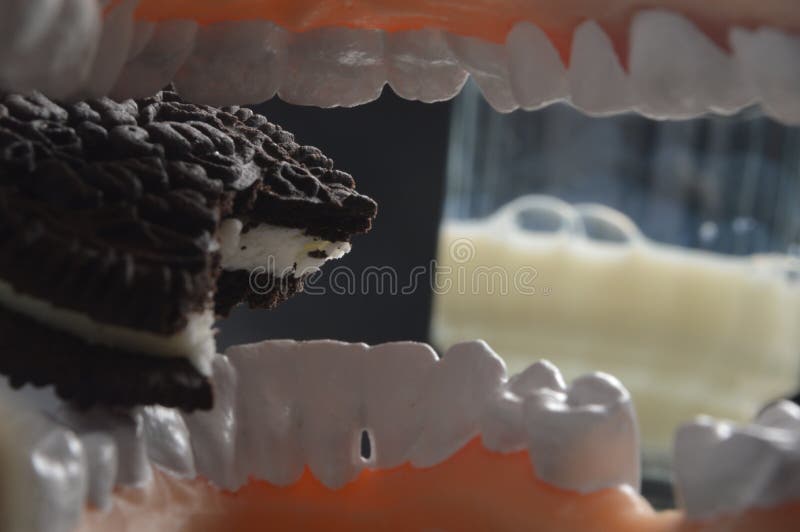 Teeth Biting Down on a Sandwich Cookie Stock Photo - Image of food ...