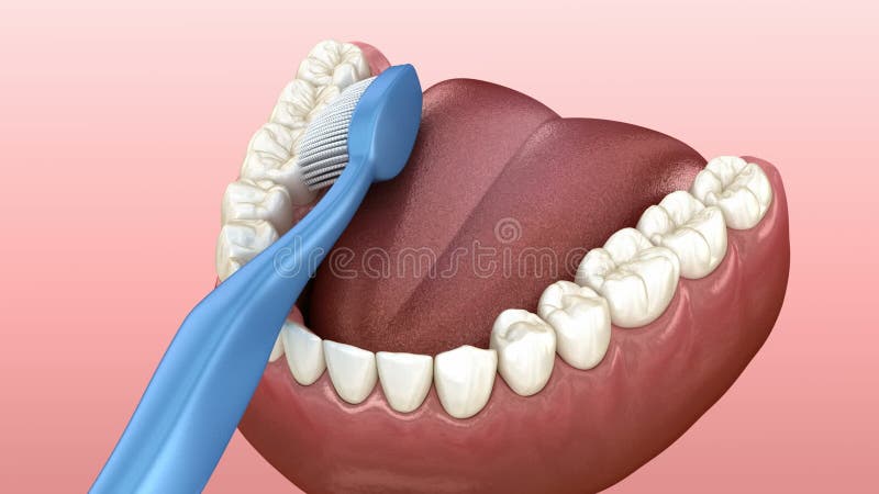 Teeth Brushing, Cleaning Process. Medically Accurate 3D Animation of ...