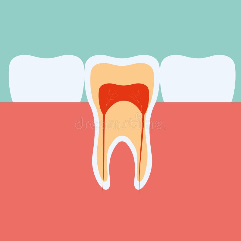 Teeth Cartoon Vector. Free Space for Text. Wallpaper Stock Illustration ...