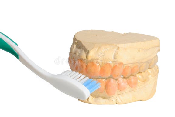 Teeth Cast stock image. Image of dental, casting, white - 17918143