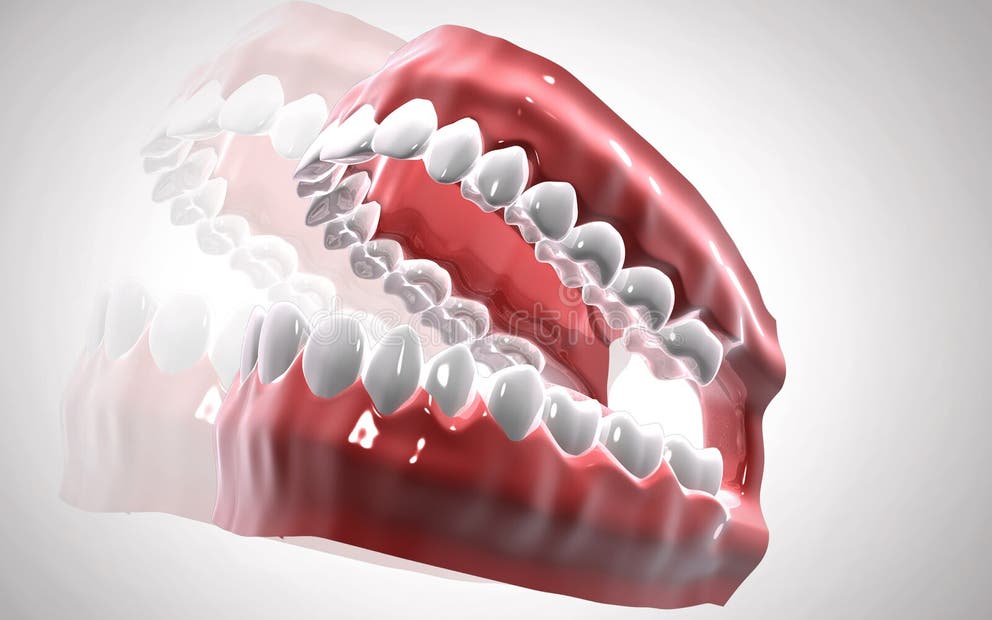 Teeth stock illustration. Illustration of teeth, science - 34412382