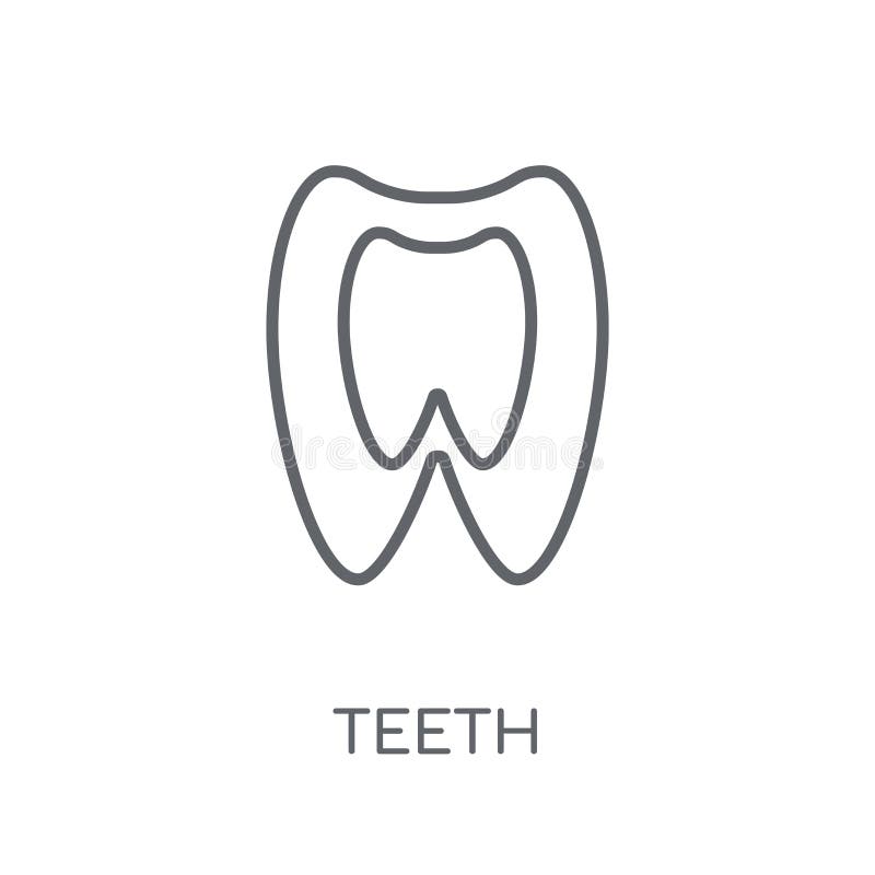 Teeth Linear Icon. Modern Outline Teeth Logo Concept on White Ba Stock ...