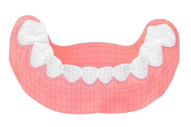 Teeth of the lower jaw. stock vector. Illustration of ailment - 44511397
