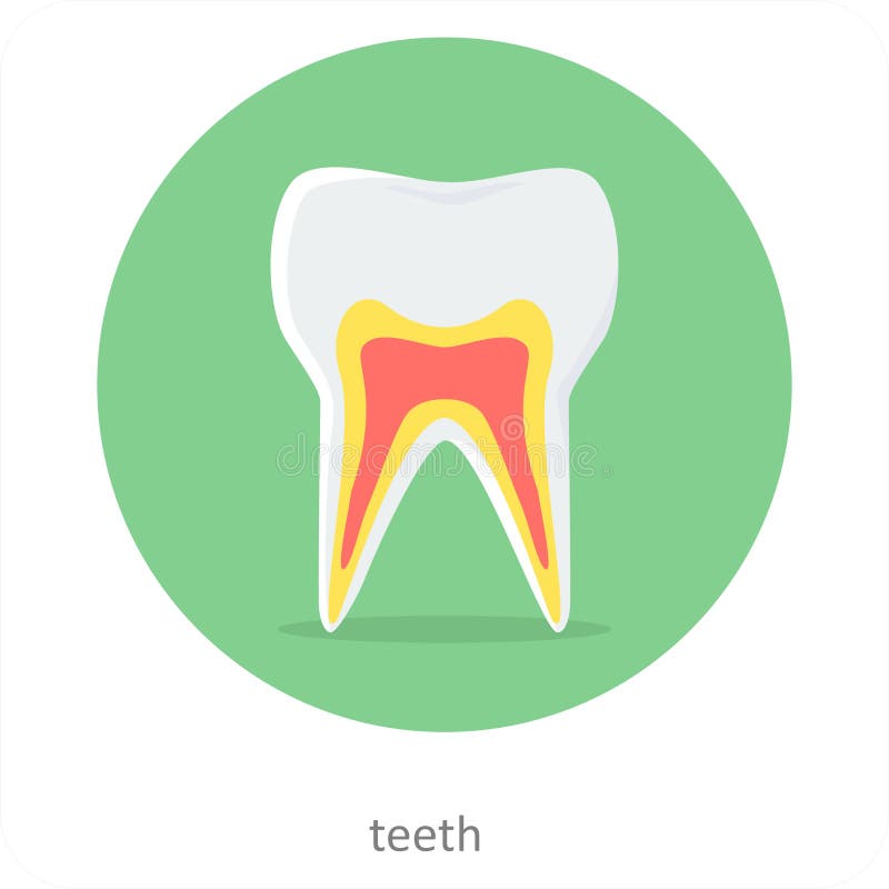 Teeth stock vector. Illustration of dentist, medical - 264942703