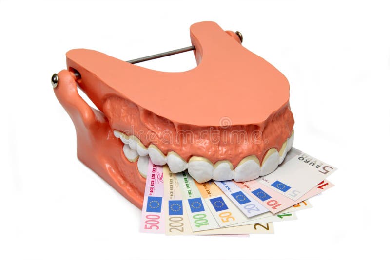Teeth model stock photo. Image of medicine, denture, teeth - 13148182