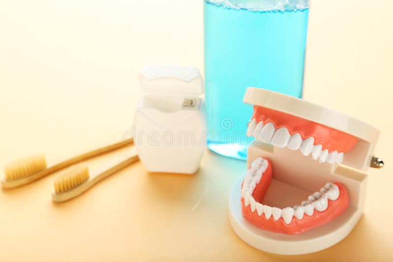 Teeth Model with Bottle of Mouthwash Stock Image - Image of blue ...