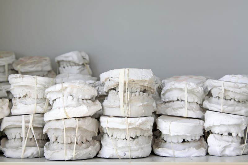 Teeth model stock photo. Image of white, piled, dental - 369256348