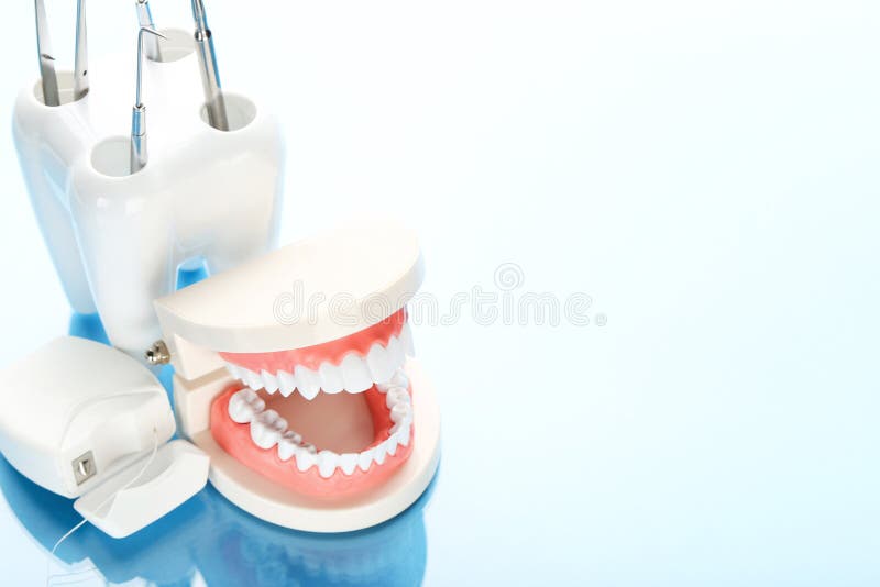 Teeth Model with Dental Instruments Stock Photo - Image of dental ...