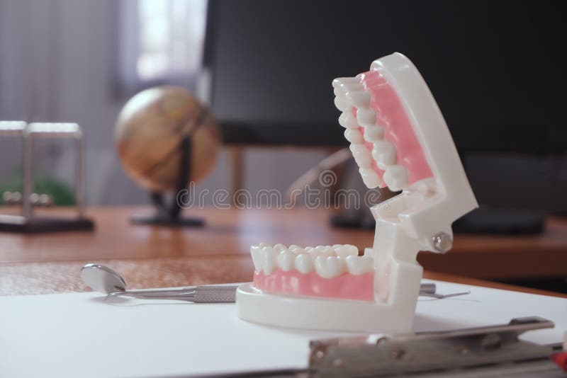 Teeth Model on Dentist`s Table in Office, Dental and Medical Concept ...