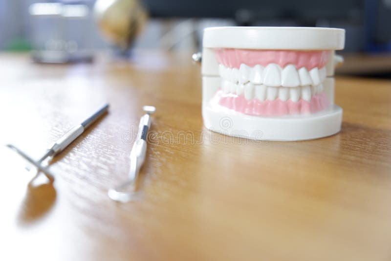 Teeth Model on Dentist`s Table in Office, Dental and Medical Concept ...