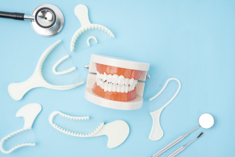 The Teeth Model and Instrument Dental on Blue Background Stock Image ...