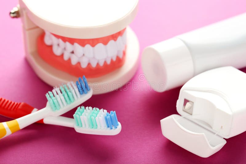 Teeth Model with Toothbrush Stock Photo - Image of clean, plastic ...