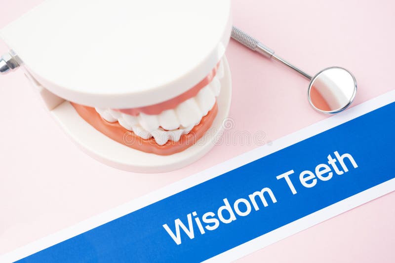 The Teeth Model with Wisdom Teeth Dental Disease on Pink Color ...