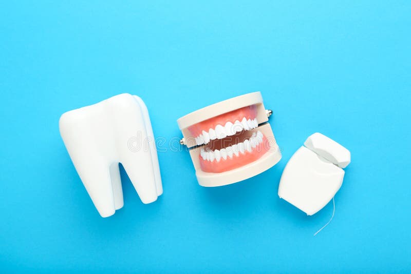 Teeth thread stock image. Image of care, portrait, fresh - 1516539