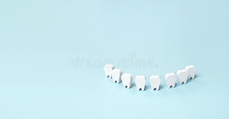Teeth Models Standing in a Row Making a Smile on a Blue Background ...