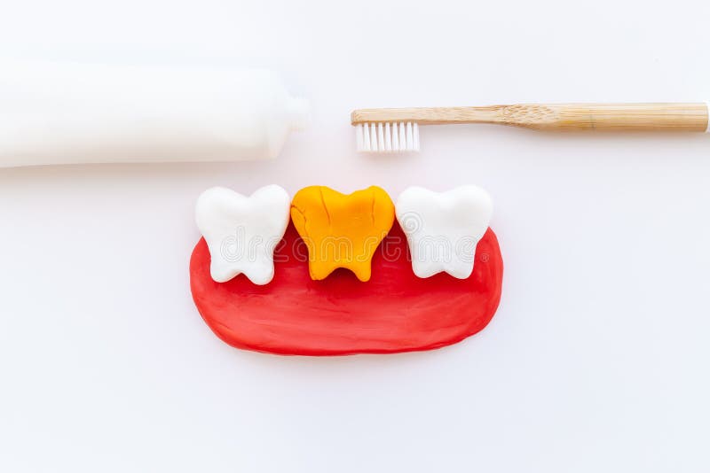 Teeth Models with Toothbrush. Oral Health and Care Concept Stock Photo ...