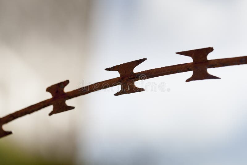 Teeth stock photo. Image of ancient, fine, bunker, protect - 65516118