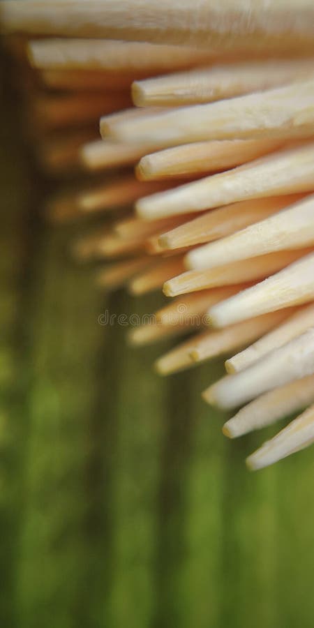 Teeth stick stock photo. Image of macro, green, stick - 153998462