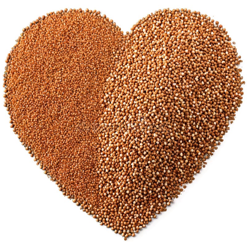 Teff White Tiny White Seeds Crisp Heart Shape with Subtle Shadows Food ...