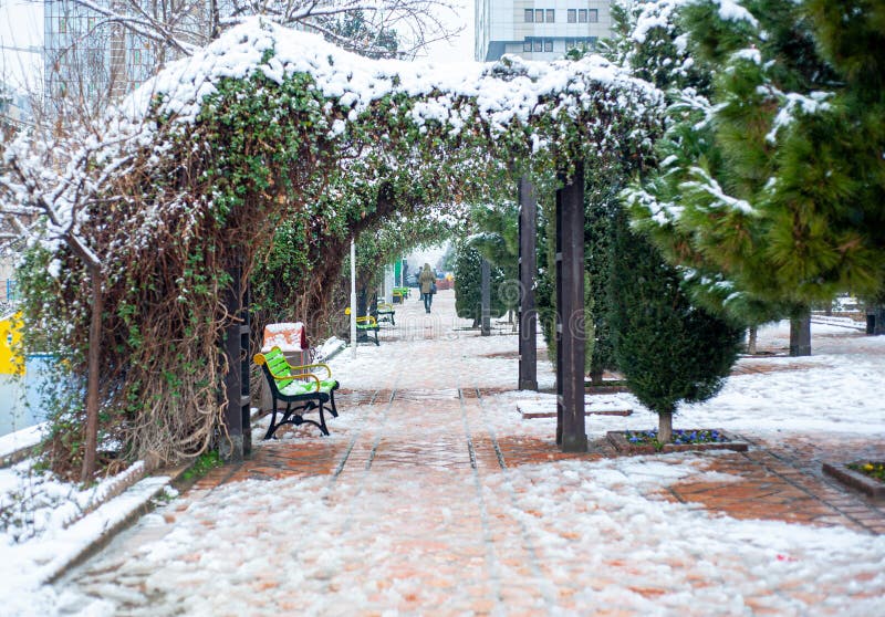 In the Park in Downtown Tehran Editorial Photography - Image of ...