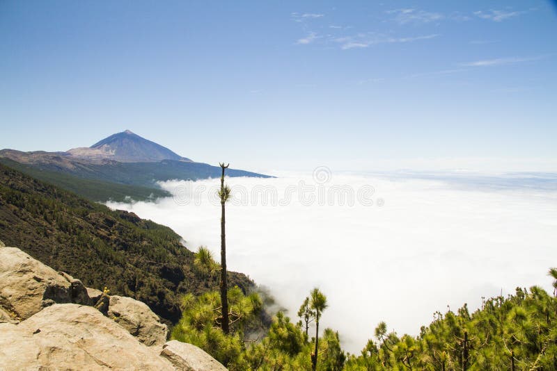 The Teide stock image. Image of clouds, trunks, erosion - 29245757
