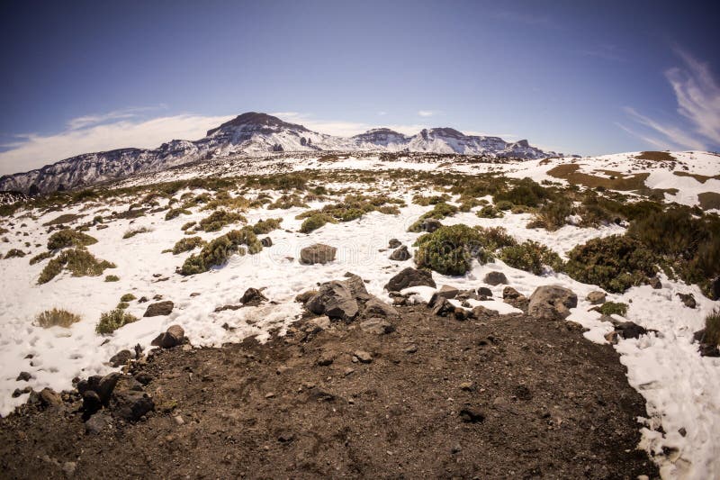 Teide nevado del montaje foto de archivo. Imagen de teide - 124175210