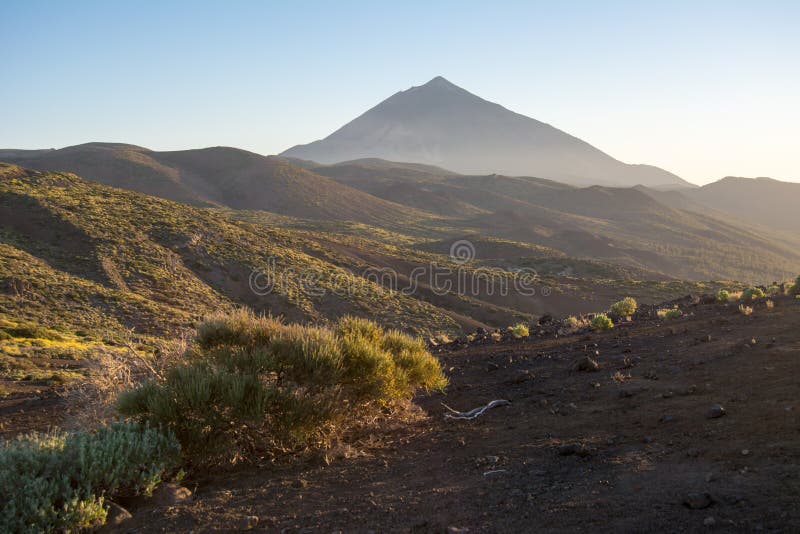 Teide in sunset stock photo. Image of peak, environment - 64048748