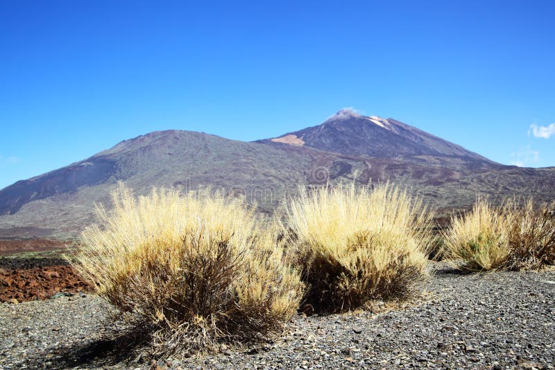 Teide volcano stock image. Image of area, scree, canary - 16742417