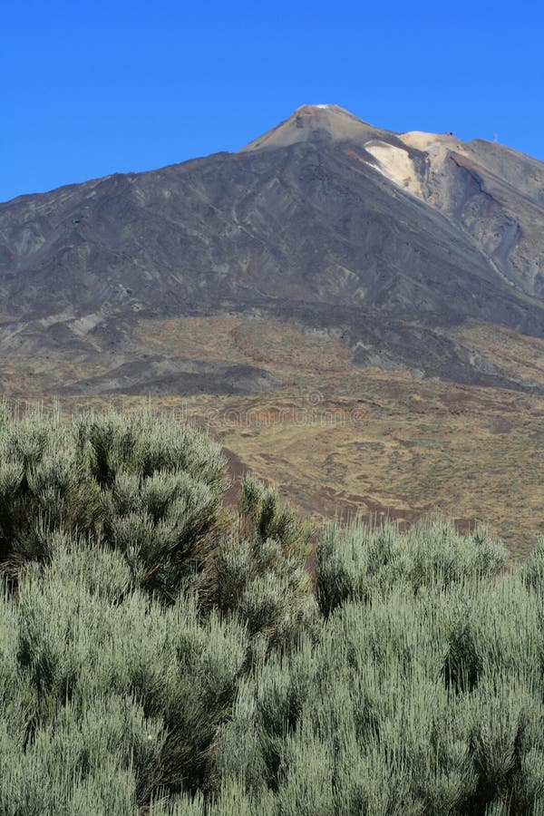 Teide Volcano Picture. Image: 3644052