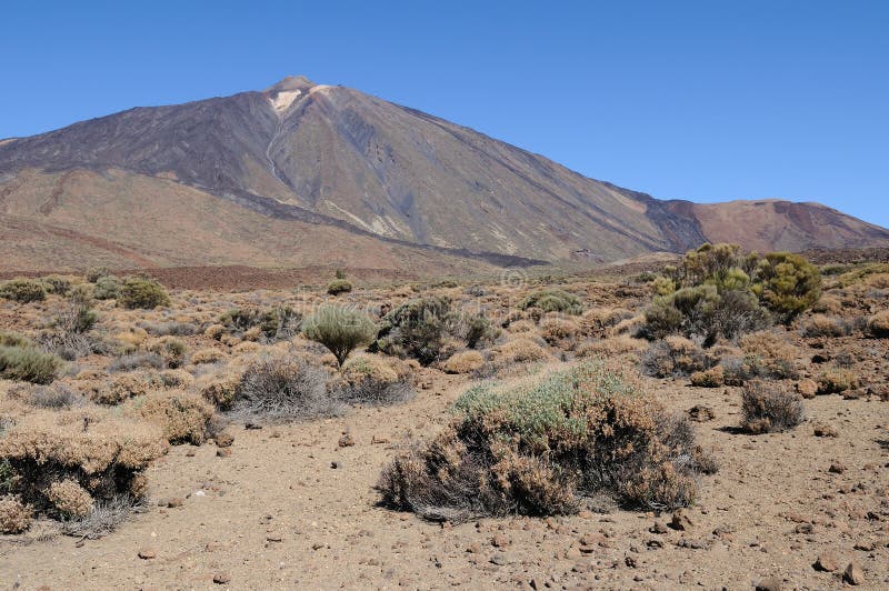 Teide Volcano in Tenerife stock photo. Image of high - 24095922
