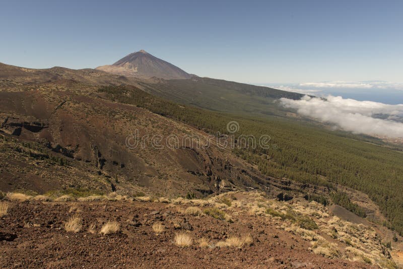Teide Volcano stock photo. Image of canary, desert, national - 77971478