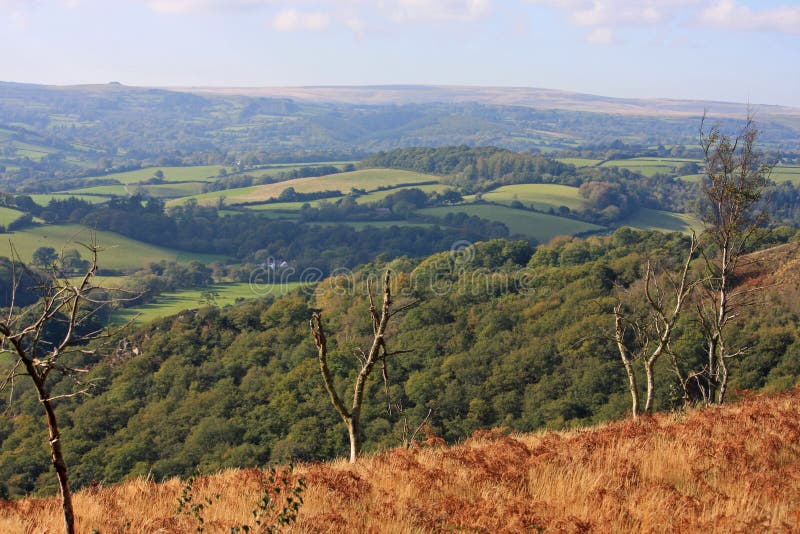 Teign Valley stock image. Image of wood, trees, england - 22492651