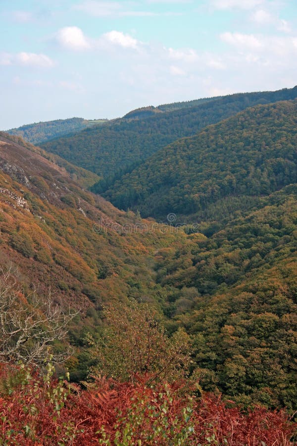 Teign Valley stock image. Image of wood, trees, england - 22492651