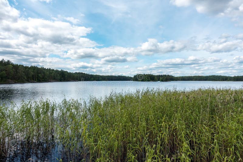 Teijo National Park imagen de archivo. Imagen de exterior - 103047125