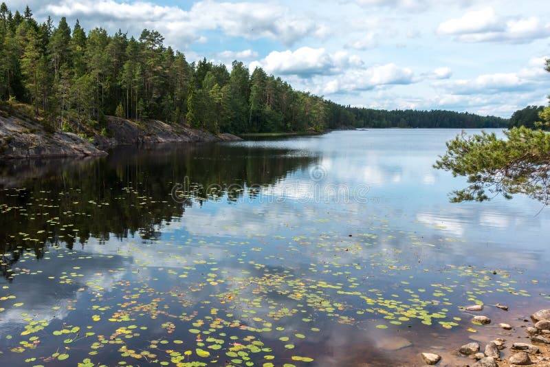 Teijo National Park imagen de archivo. Imagen de exterior - 103047125