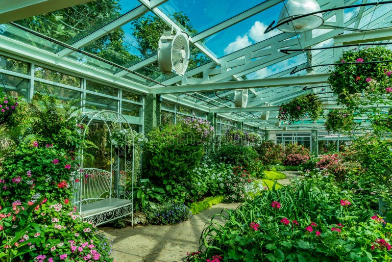 Tejado verde del musgo imagen de archivo. Imagen de forma - 84513027